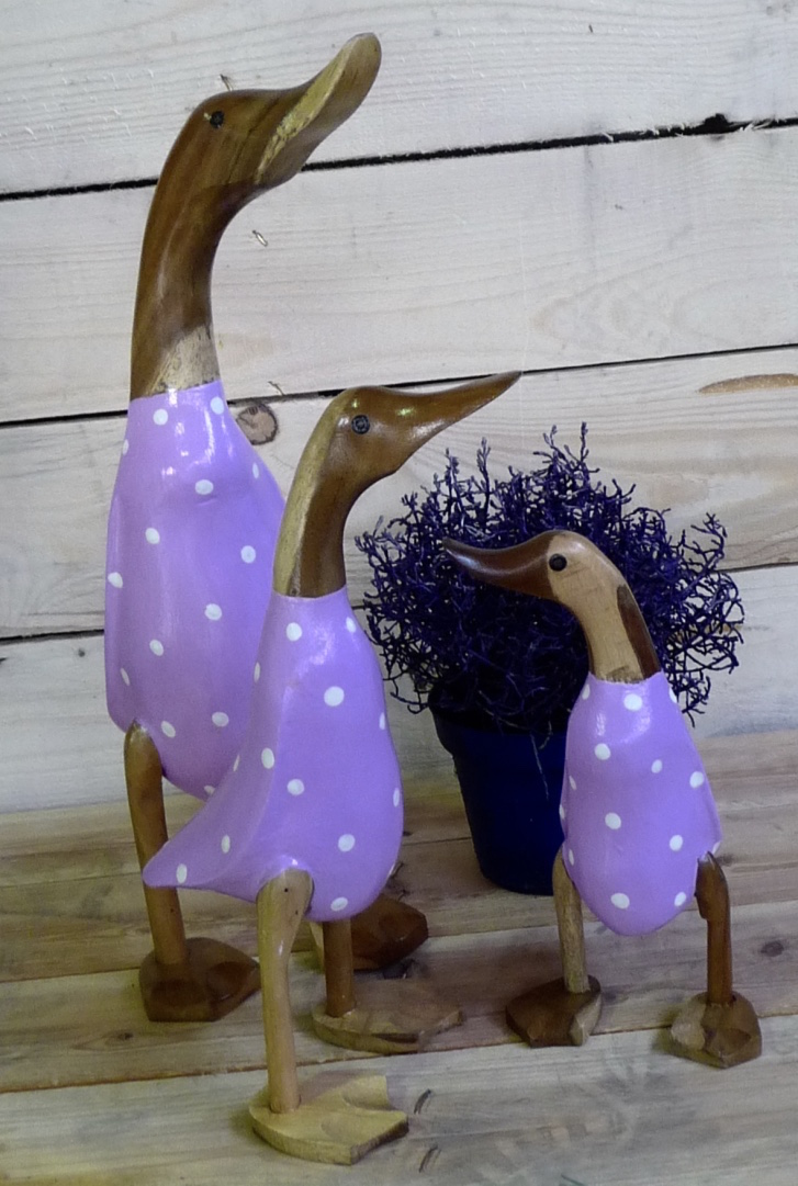 Wunderhalle - Ente