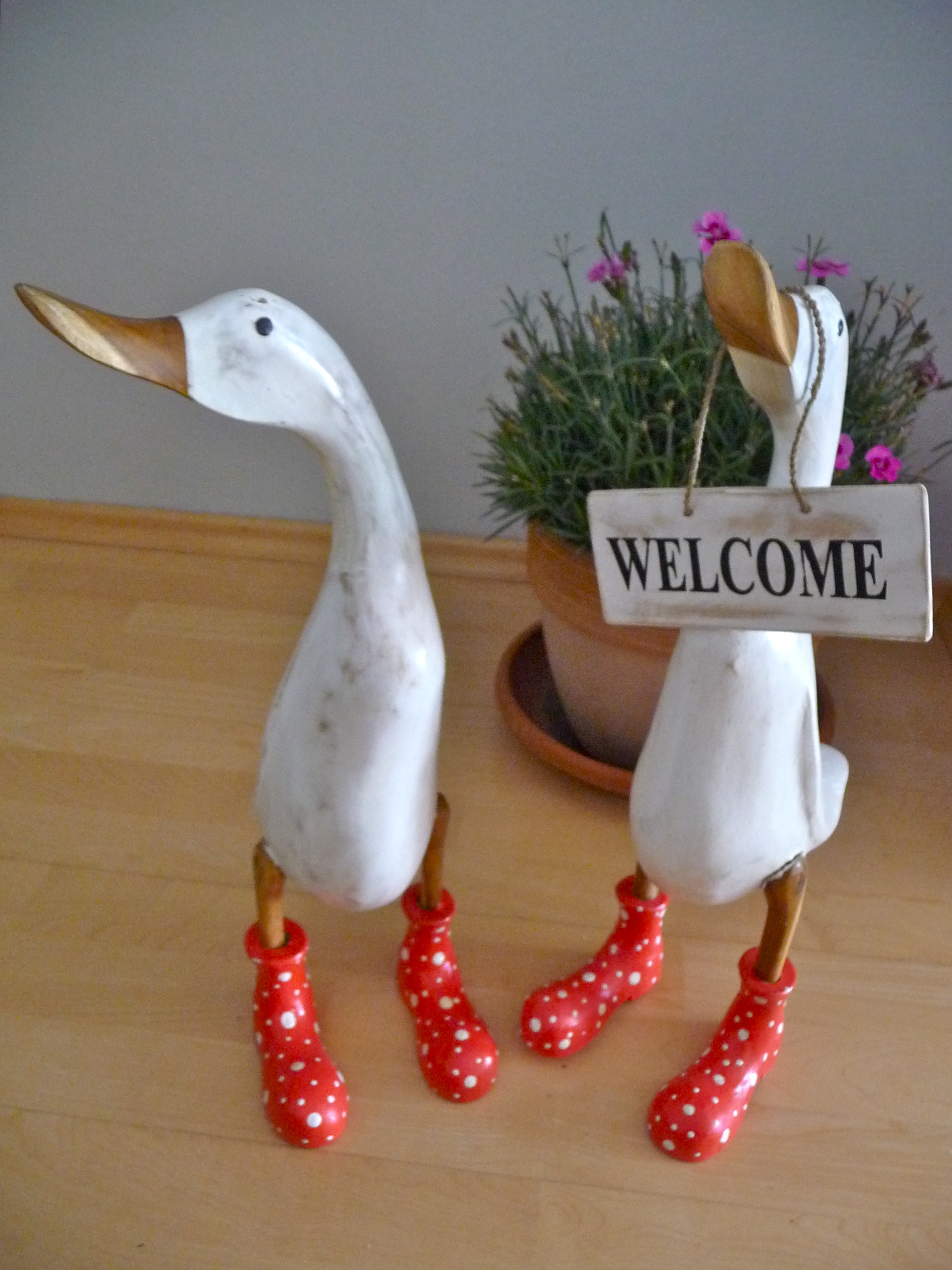 Wunderhalle - Ente